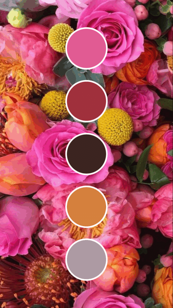 Pretty in Pink: 20 Color Palettes for Your Brand | rebelsystems.co