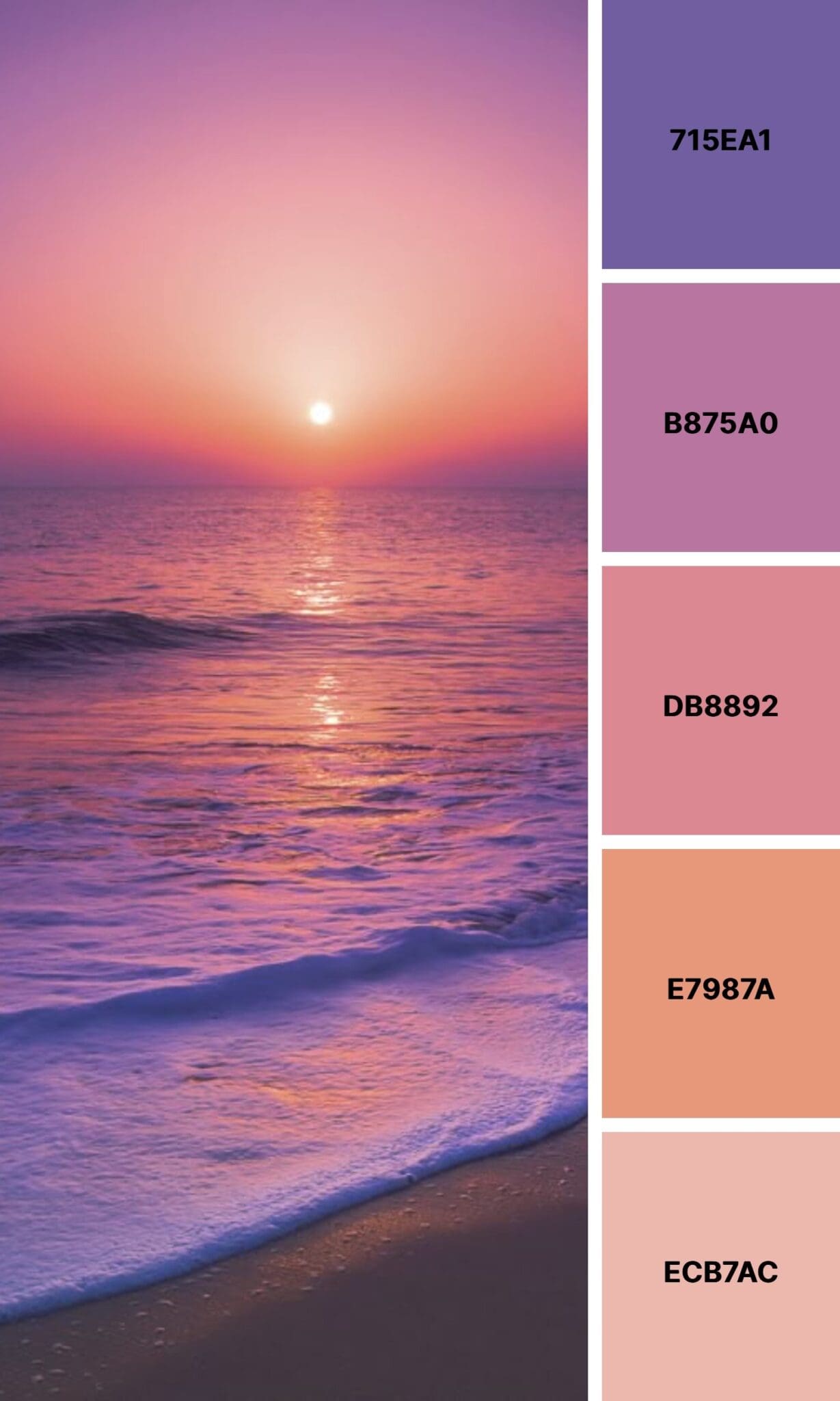 100 Pink Color Palettes for Your Brand | rebelsystems.co