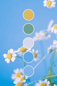 100 Blue Color Palettes for Your Brand | rebelsystems.co