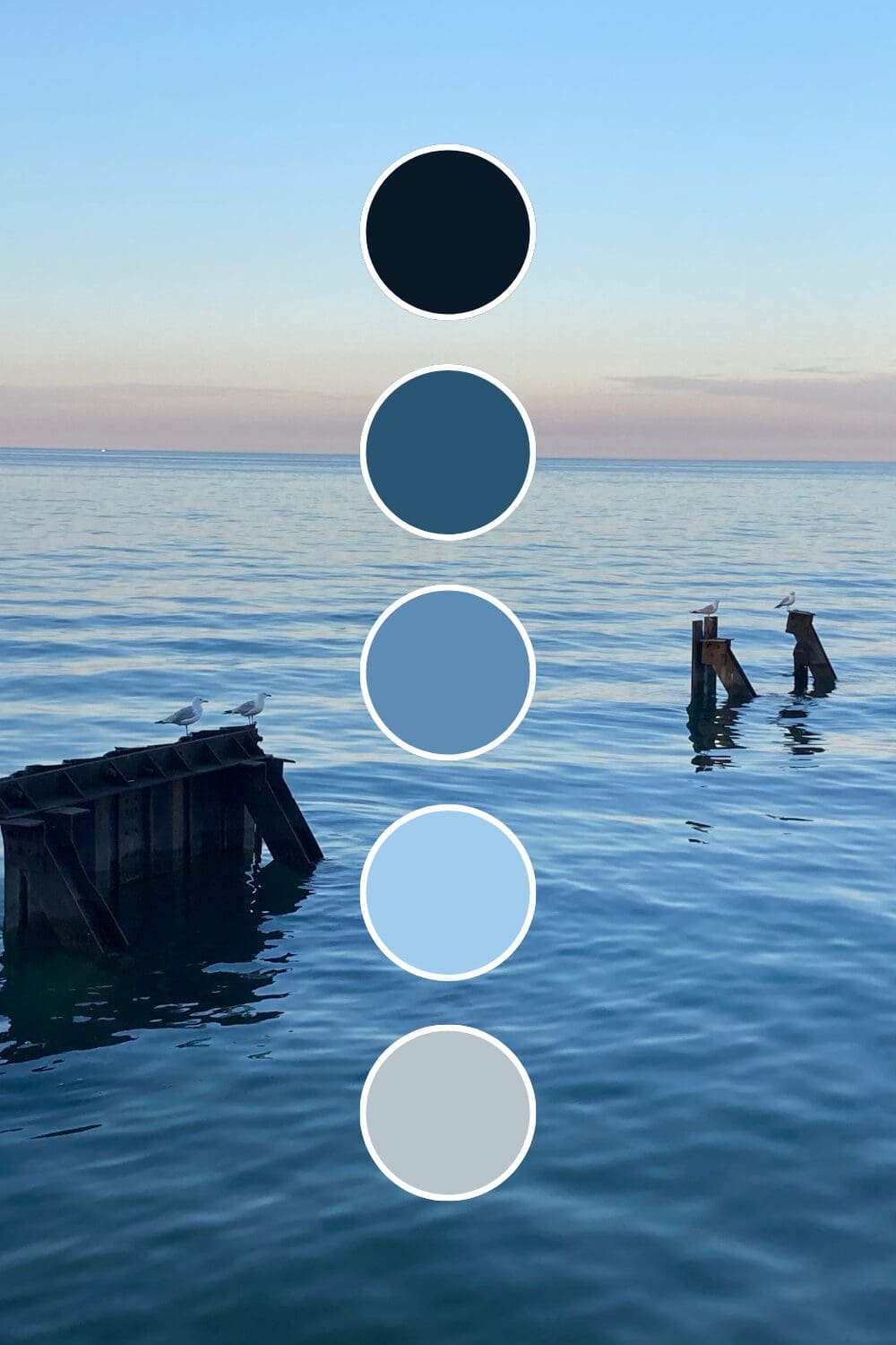 100 Blue Color Palettes for Your Brand | rebelsystems.co