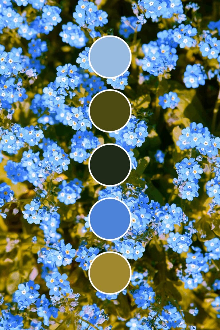 100 Blue Color Palettes for Your Brand | rebelsystems.co
