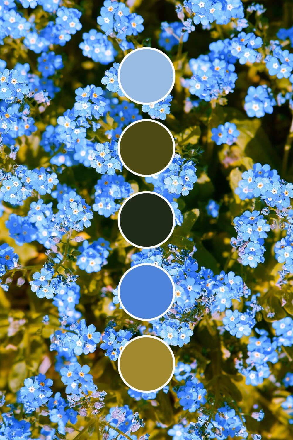 100 Blue Color Palettes for Your Brand | rebelsystems.co