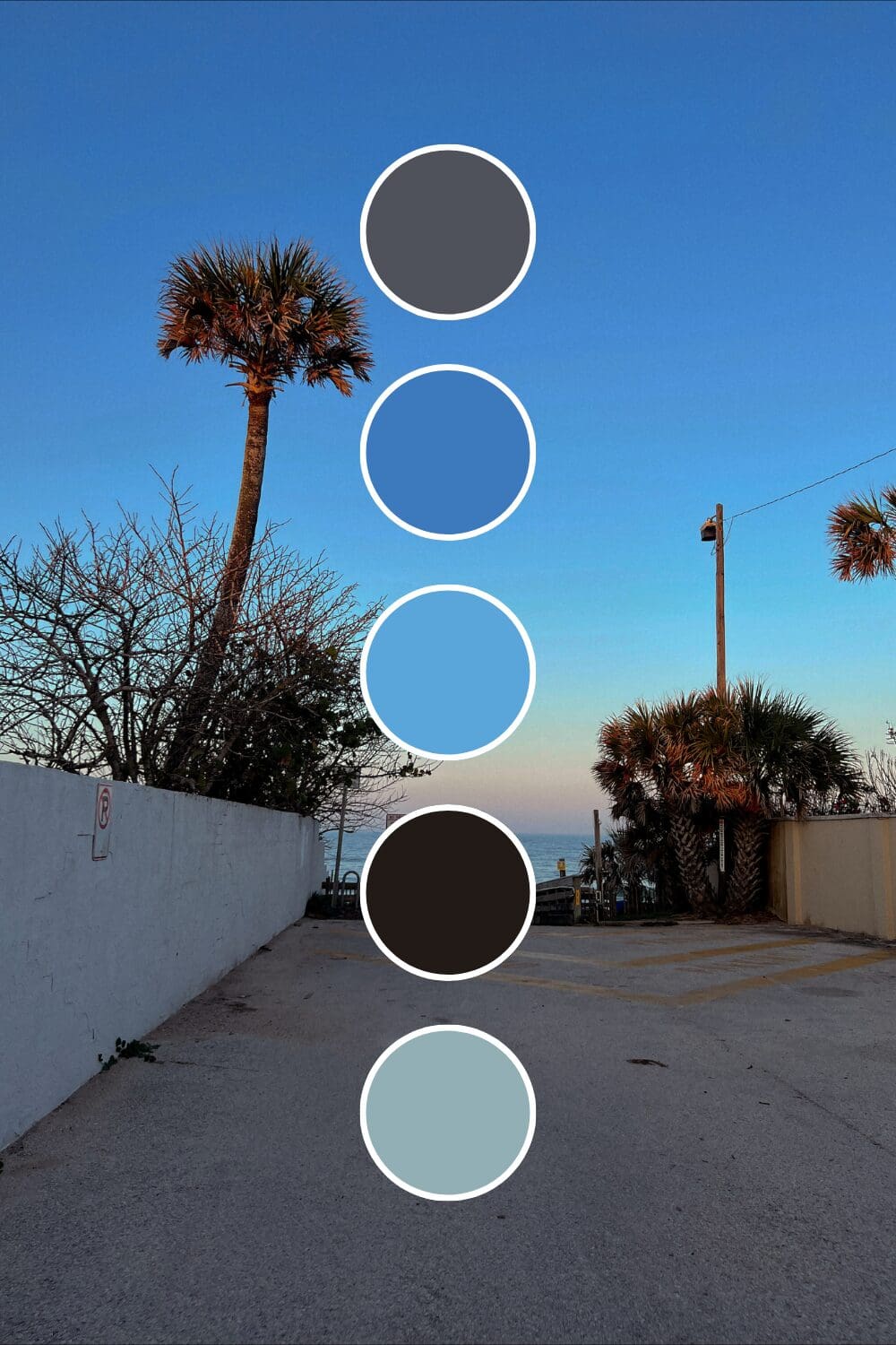 100 Blue Color Palettes for Your Brand | rebelsystems.co