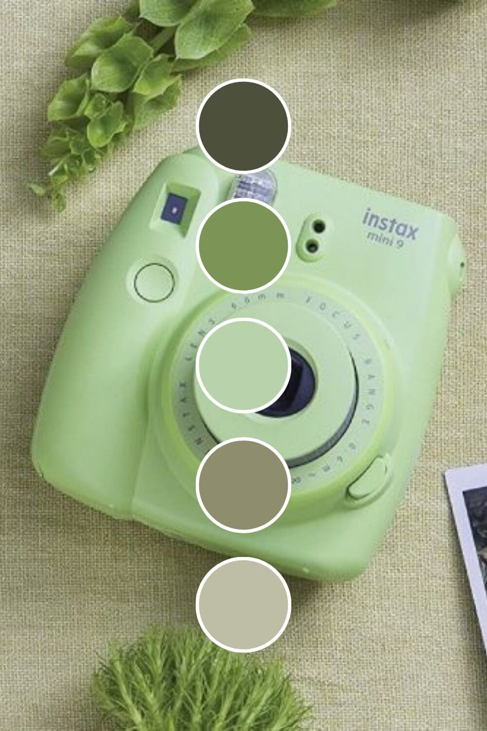 100 Green Color Palettes for Your Brand | rebelsystems.co