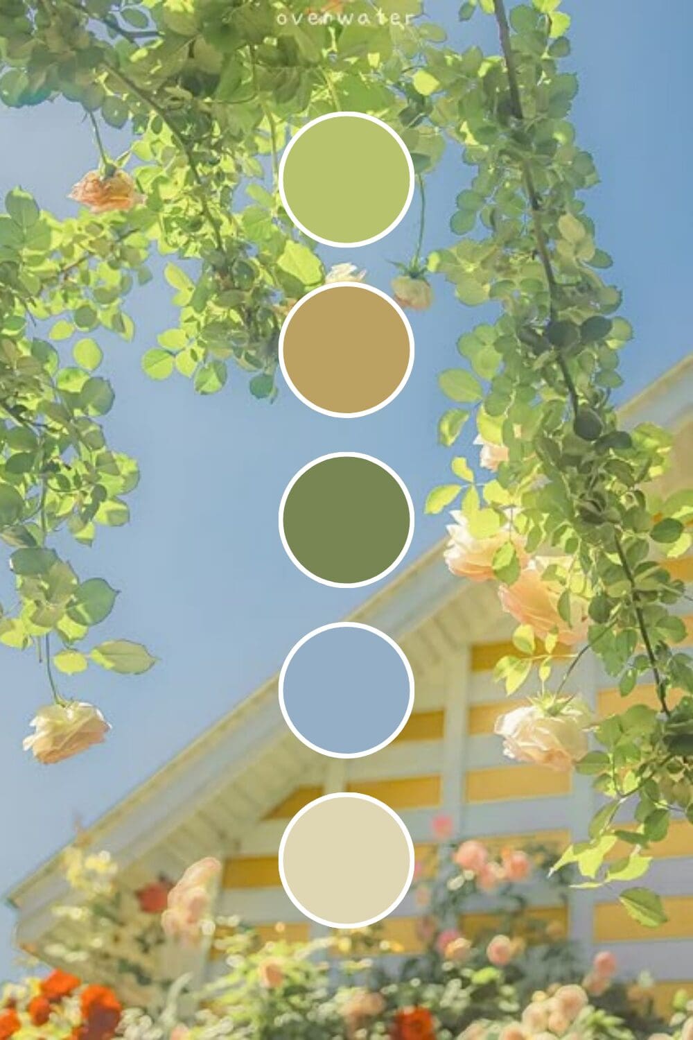100 Green Color Palettes for Your Brand | rebelsystems.co