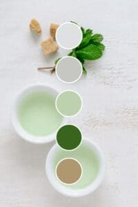 100 Green Color Palettes for Your Brand | rebelsystems.co