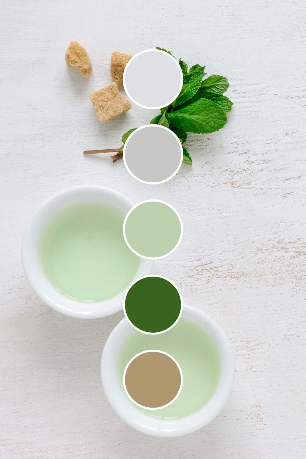 100 Green Color Palettes for Your Brand | rebelsystems.co