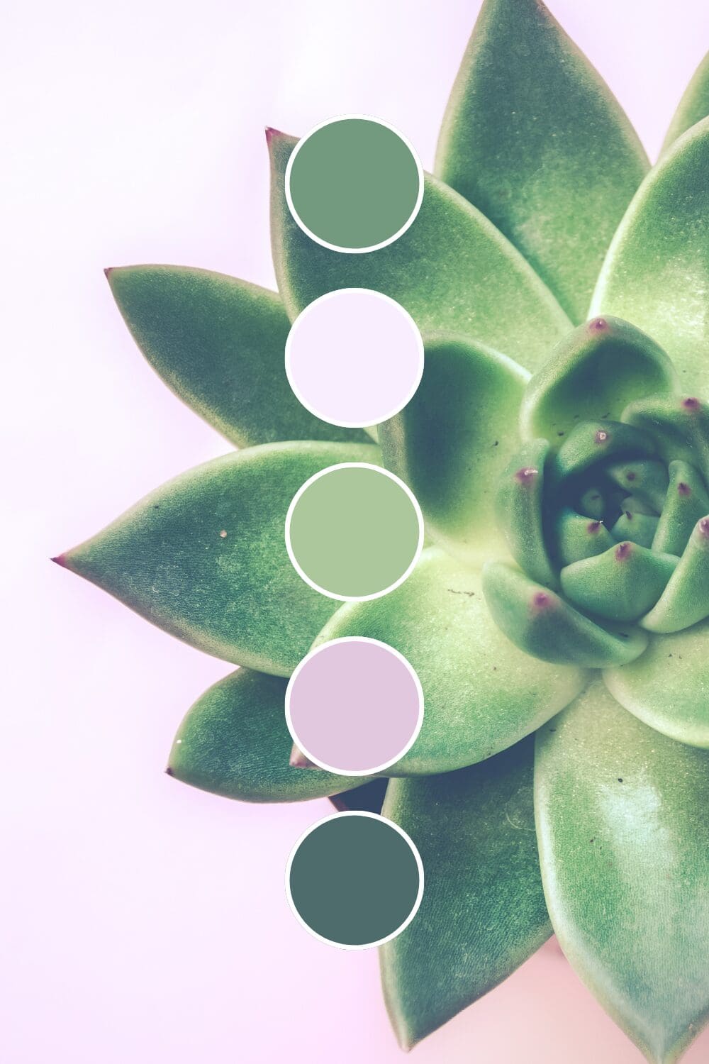 100 Green Color Palettes for Your Brand | rebelsystems.co