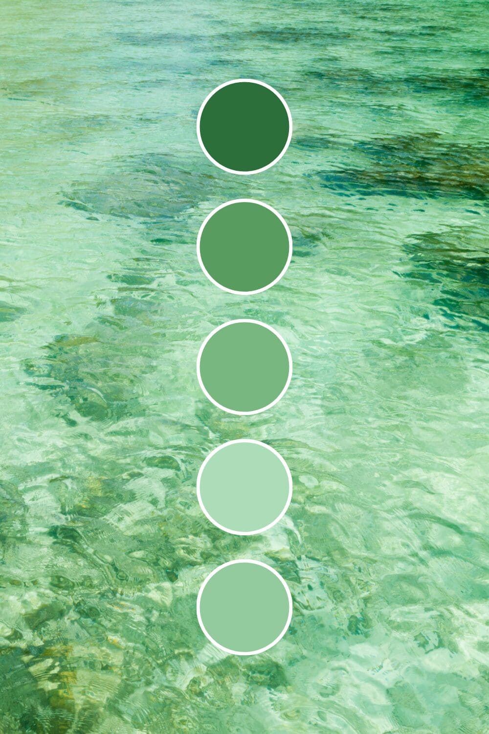 100 Green Color Palettes for Your Brand | rebelsystems.co
