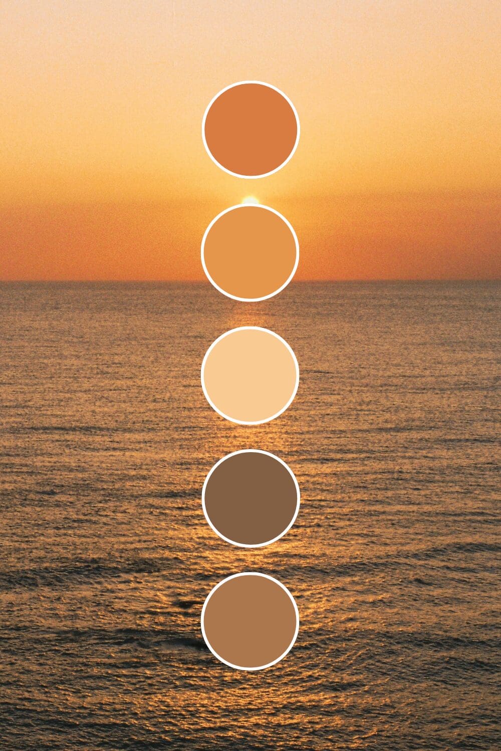 100 Orange Color Palettes for Your Brand | rebelsystems.co