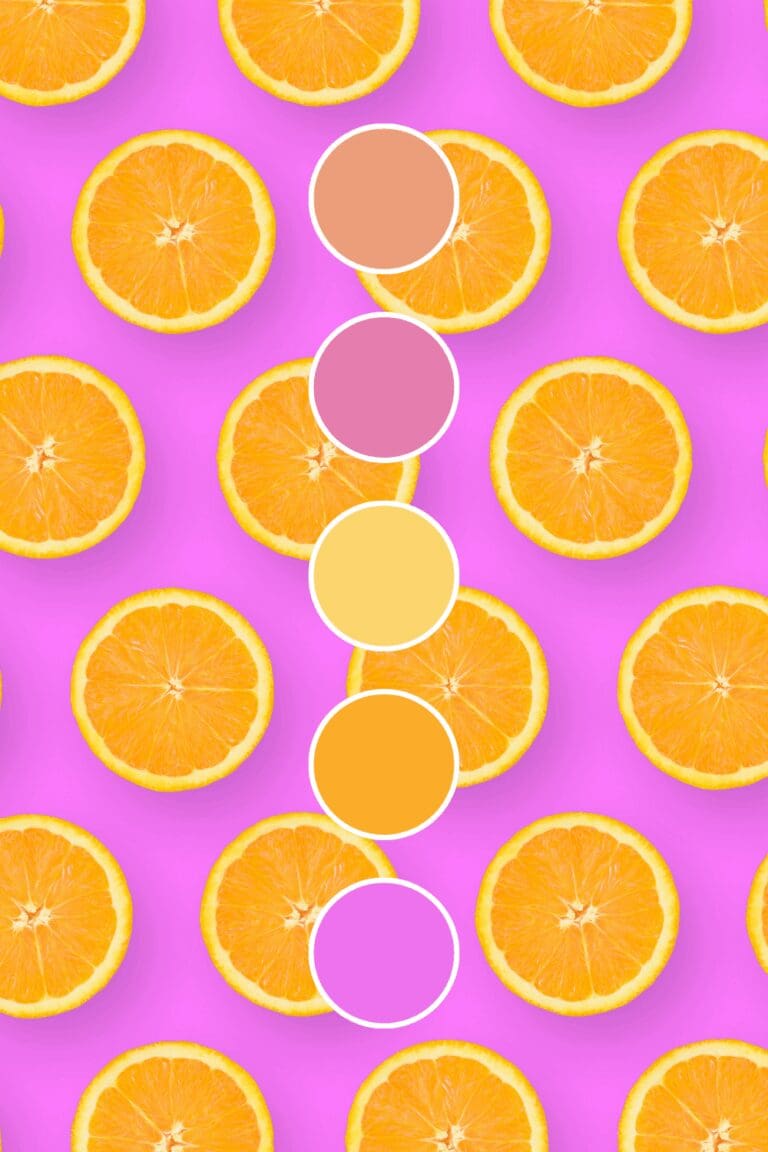 100 Orange Color Palettes for Your Brand | rebelsystems.co