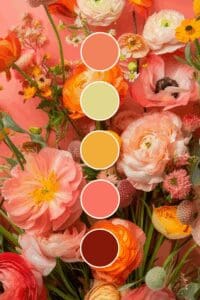 100 Orange Color Palettes for Your Brand | rebelsystems.co