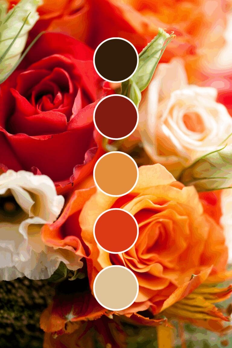 100 Orange Color Palettes for Your Brand | rebelsystems.co