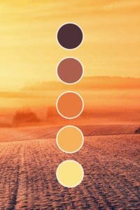 100 Orange Color Palettes for Your Brand | rebelsystems.co