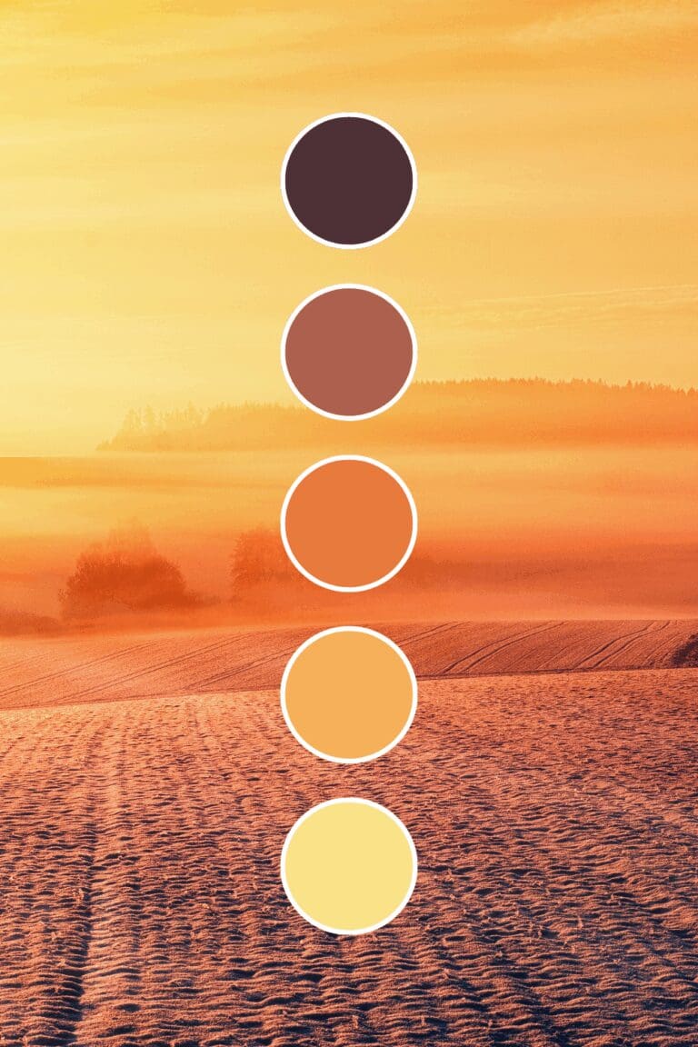 100 Orange Color Palettes for Your Brand | rebelsystems.co
