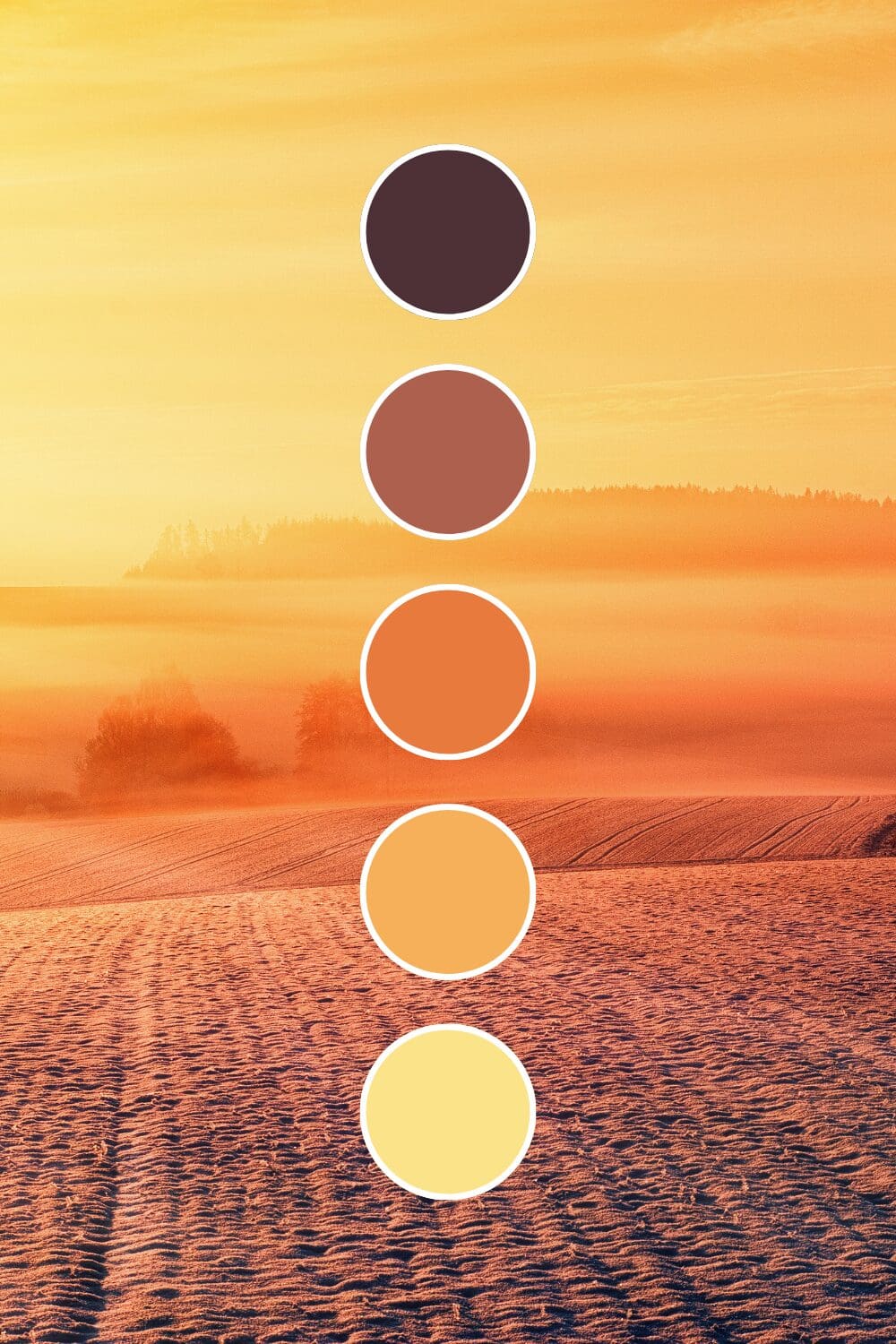 100 Orange Color Palettes for Your Brand | rebelsystems.co