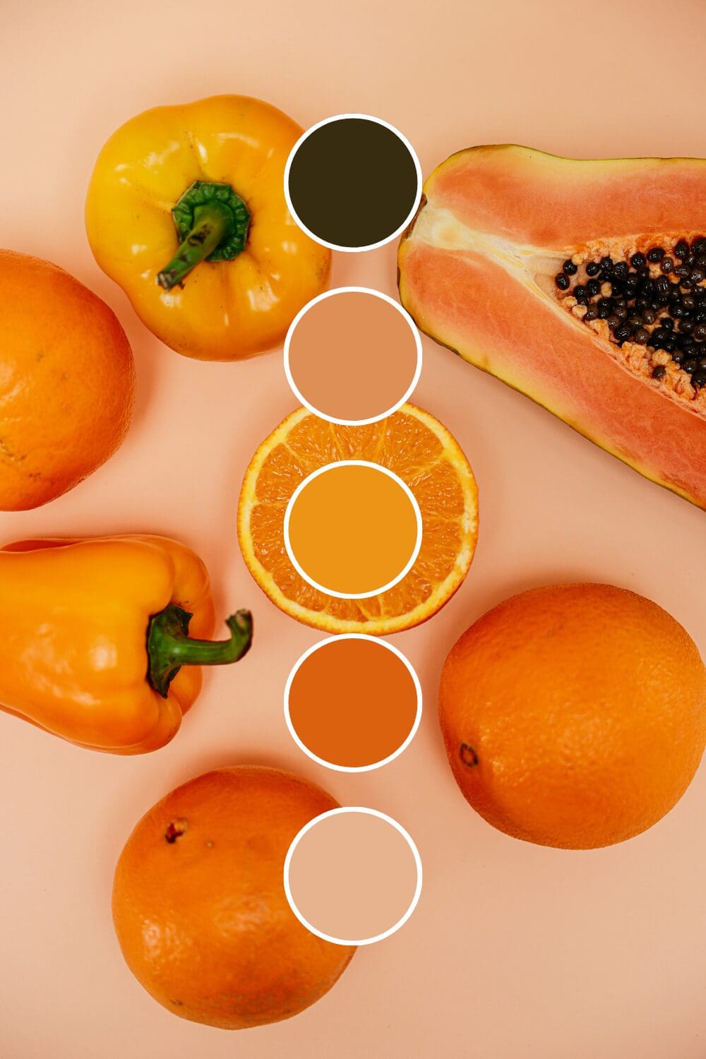 100 Orange Color Palettes for Your Brand | rebelsystems.co