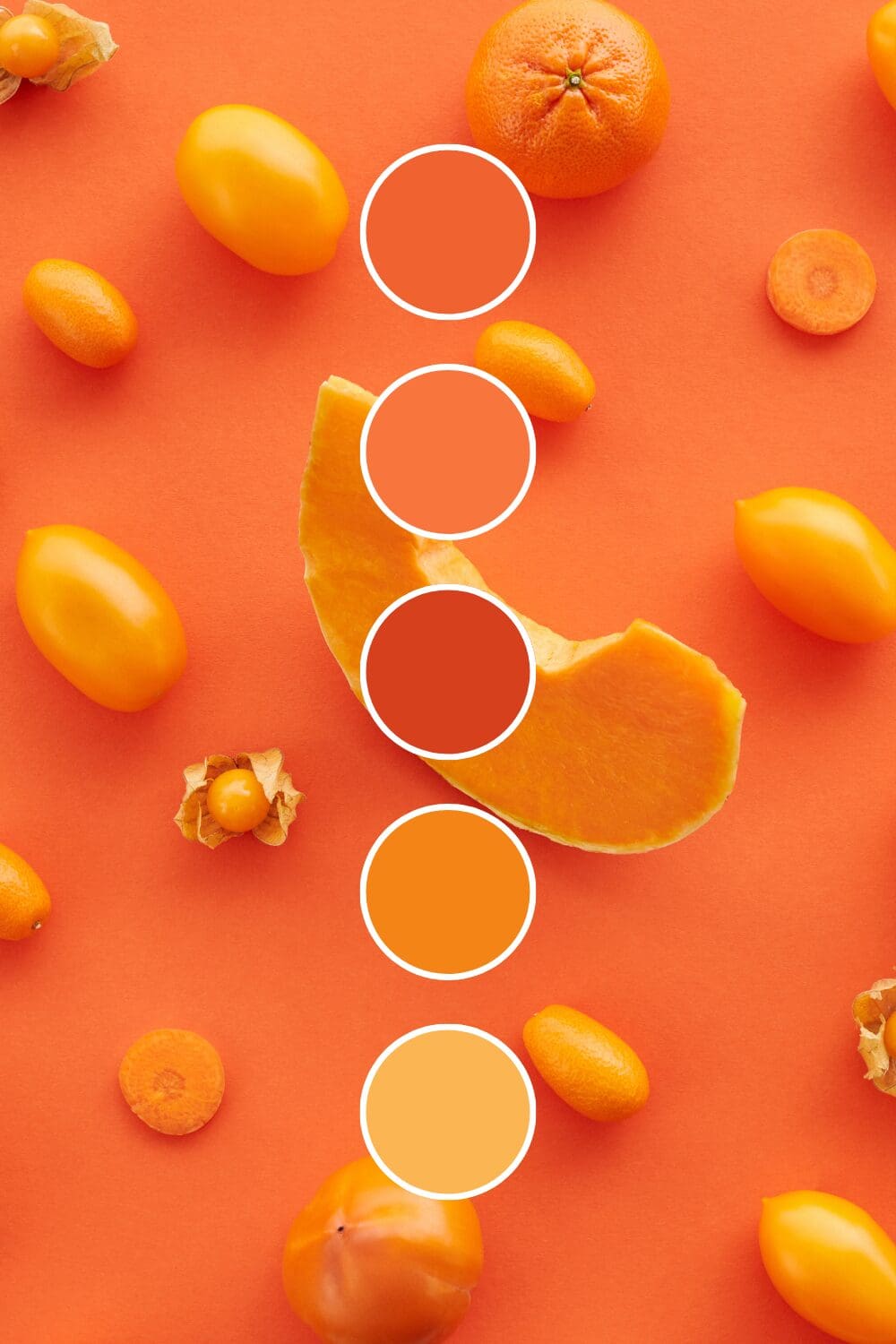 100 Orange Color Palettes for Your Brand | rebelsystems.co