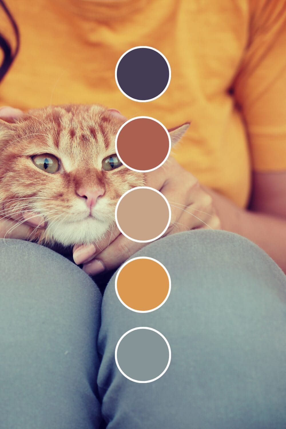 100 Orange Color Palettes for Your Brand | rebelsystems.co
