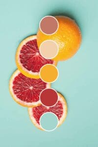 100 Orange Color Palettes for Your Brand | rebelsystems.co