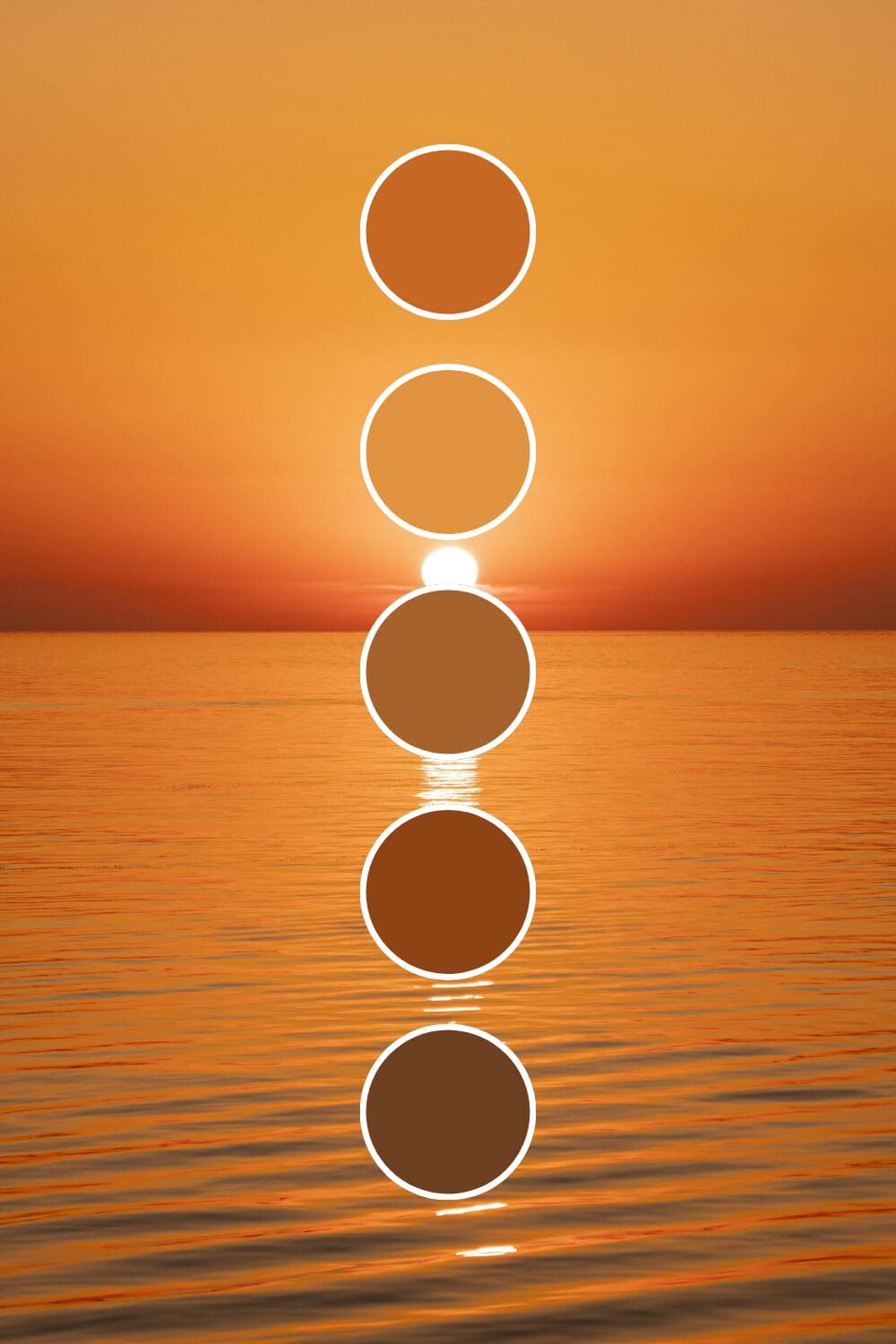 100 Orange Color Palettes for Your Brand | rebelsystems.co