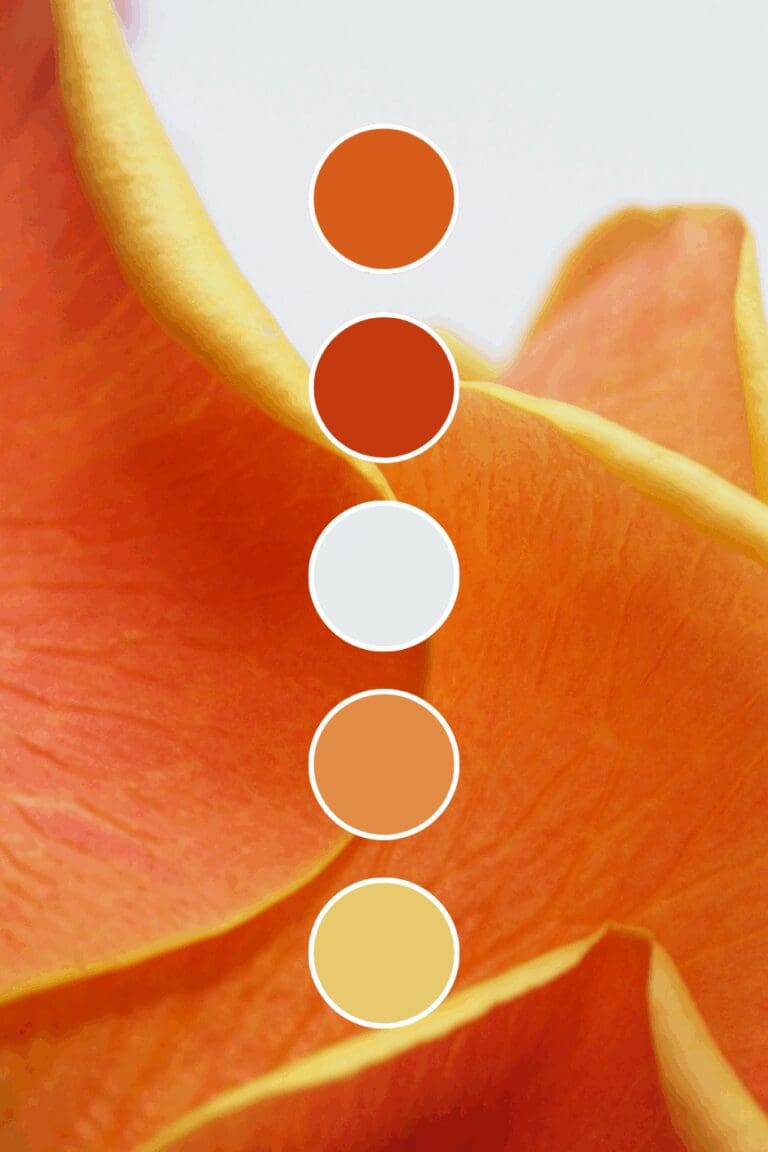 100 Orange Color Palettes for Your Brand | rebelsystems.co