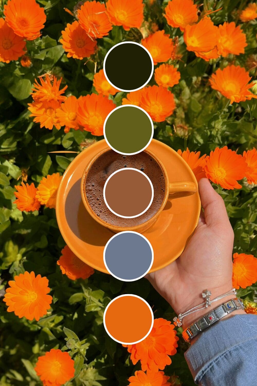 100 Orange Color Palettes for Your Brand | rebelsystems.co