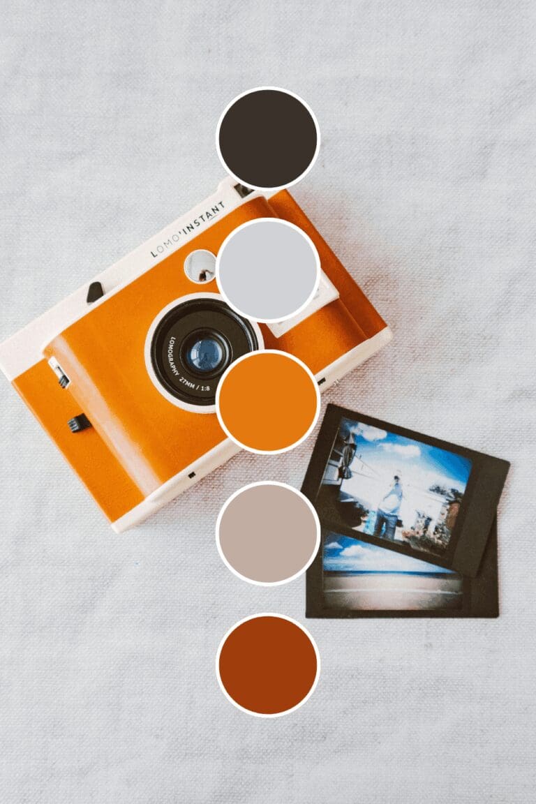 100 Orange Color Palettes for Your Brand | rebelsystems.co