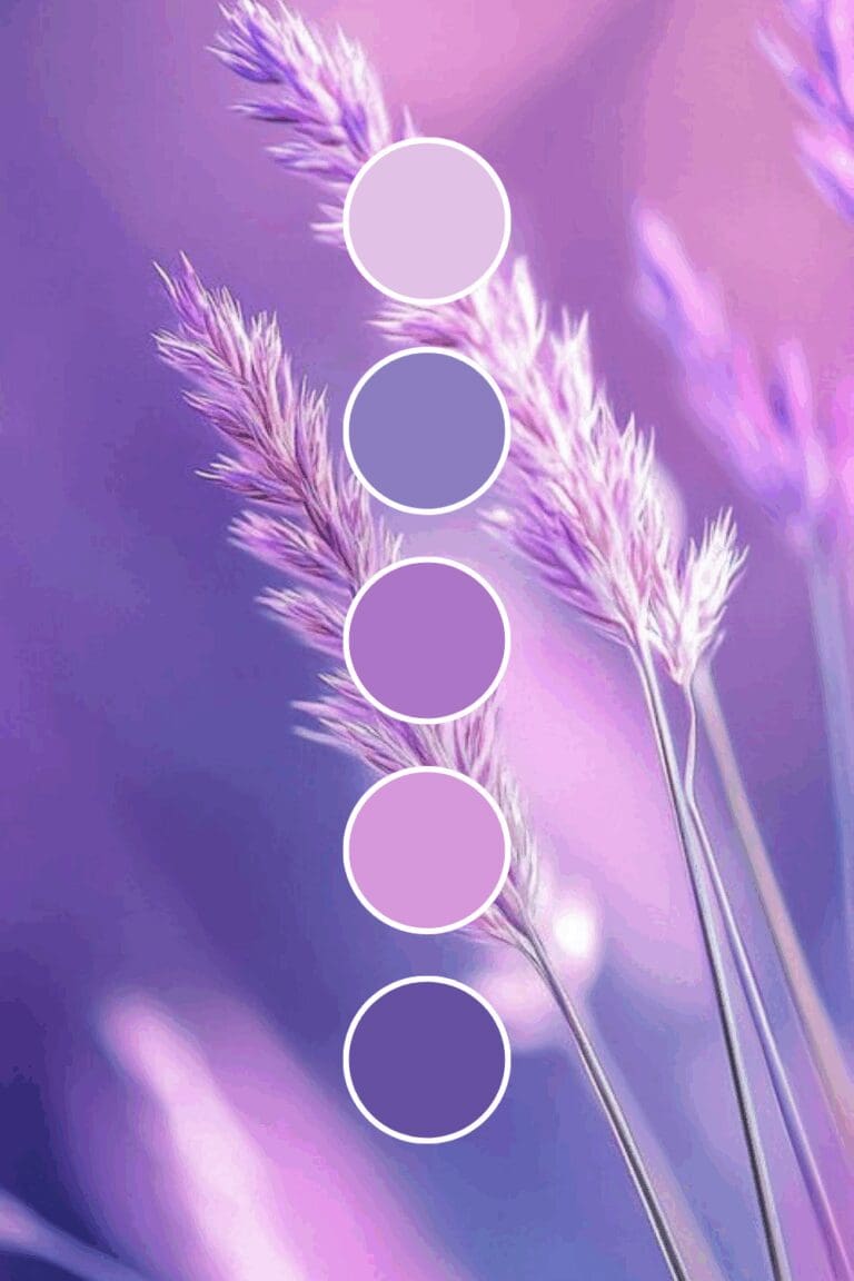 100 Purple Color Palettes for Your Brand | rebelsystems.co