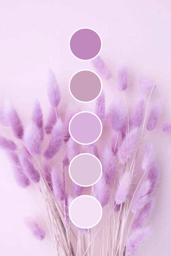 100 Purple Color Palettes for Your Brand | rebelsystems.co