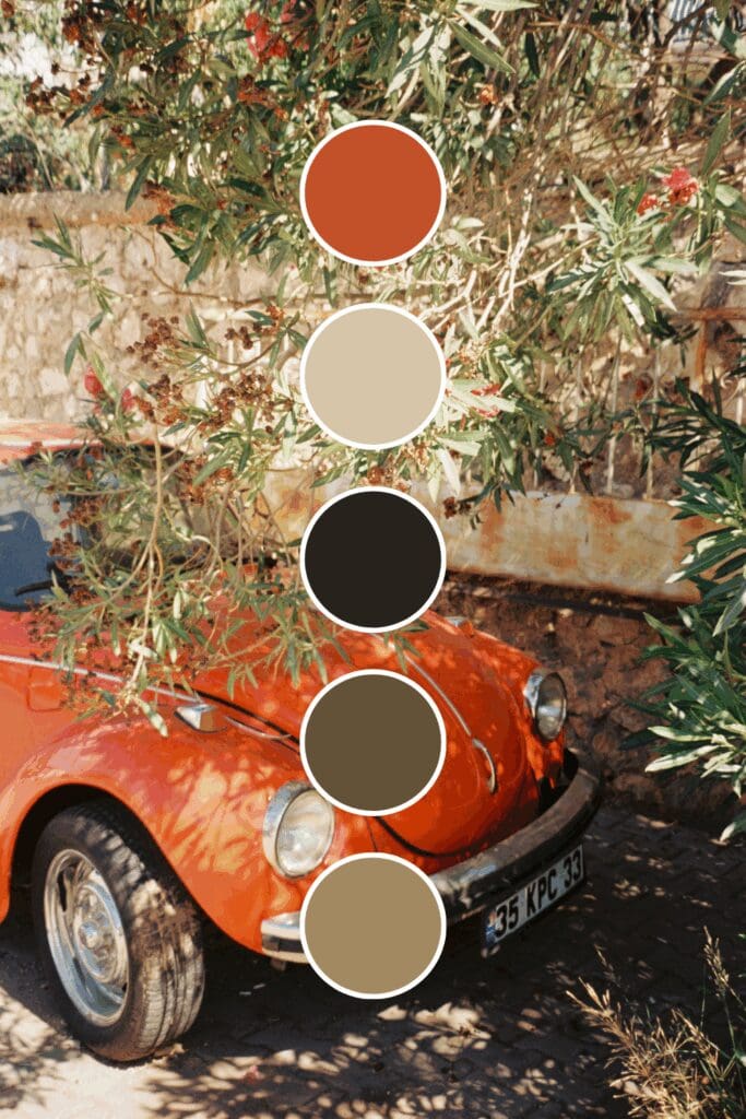 100 Red Color Palettes for Your Brand | rebelsystems.co