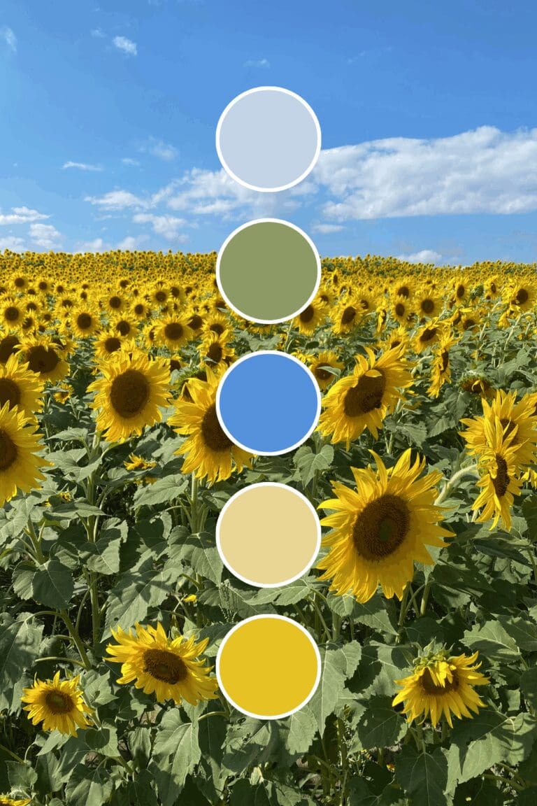 100 Yellow Color Palettes for Your Brand | rebelsystems.co